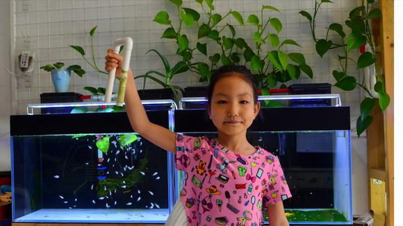 【DIY手工制作 】2个鱼缸用一个过滤泵是负压原理?是虹吸原理?