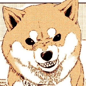 弗芮 