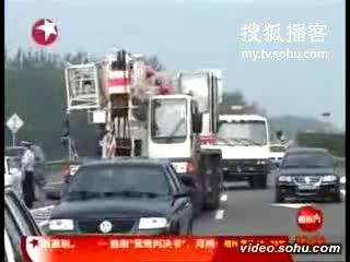 600万只狂蜂阻断高速公路18小时