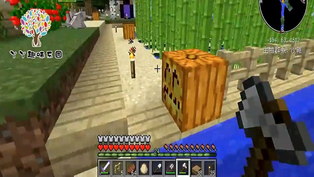 我的世界:丫丫为什么突然想变成一条鱼呢?