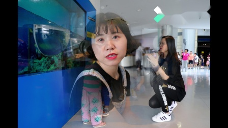 海底世界美人鱼.mp4