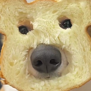 德才兼备的老六 