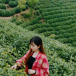 _想躺平的李老师 