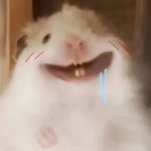 _南即墨 