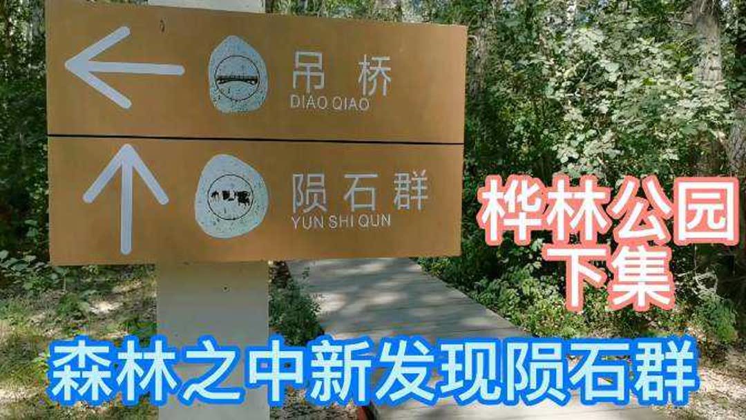 新疆阿勒泰白桦林公园,走过网红桥有大发现,天外飞石的陨石群