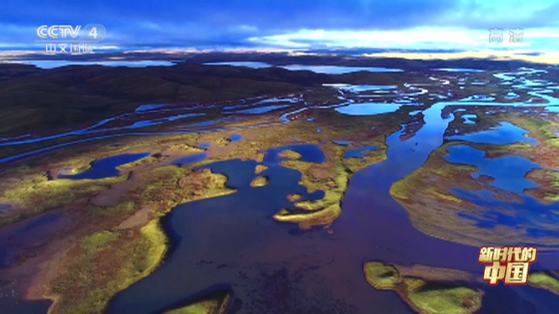 [中国新闻]新时代的中国 中国国家公园:保护生态系统的原真性与完整性