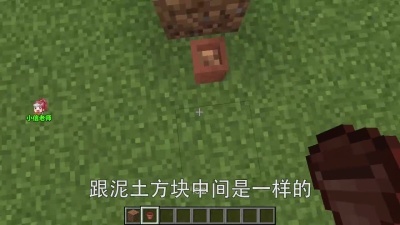 奇解说:MC你不知道的冷知识,老玩家也不一定都懂