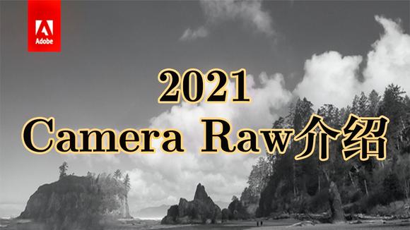 【胖丁】Ps2021 Camera Raw功能介绍(有预设获取)(53期)