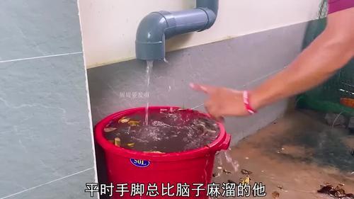 小伙竟然用塑料桶制作出一款节能环保的雨水过滤器,真是太实用了