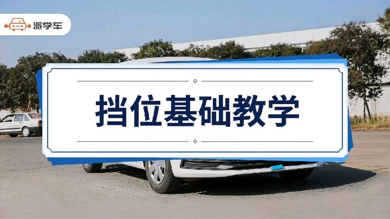 驾照培训|自动挡档位基础教学