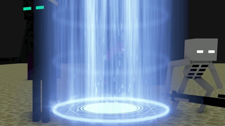 世界由我来守护4:末地重生