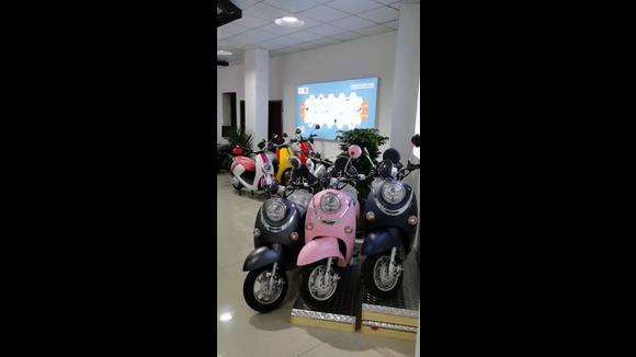 绿驹电动车生动化陈列看户县,我们努力让您满意