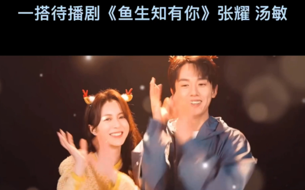 张耀汤敏《鱼生知有你》一搭待播剧 法医秦明之读心者是二搭款