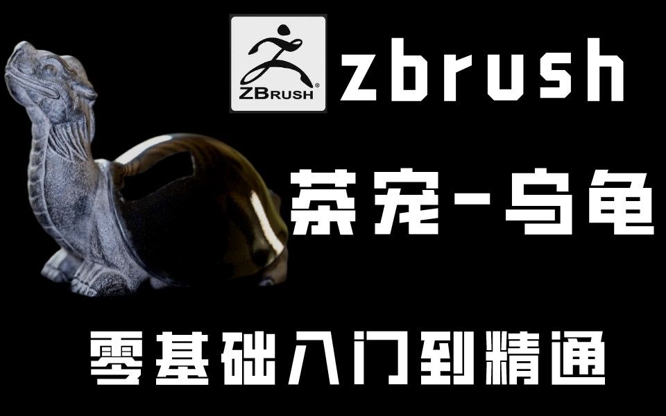 这乌龟不乖嘛? 你们都不来看看嘛? 新手教程小案例全流程