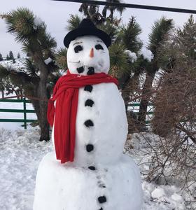 美国华人讲故事 