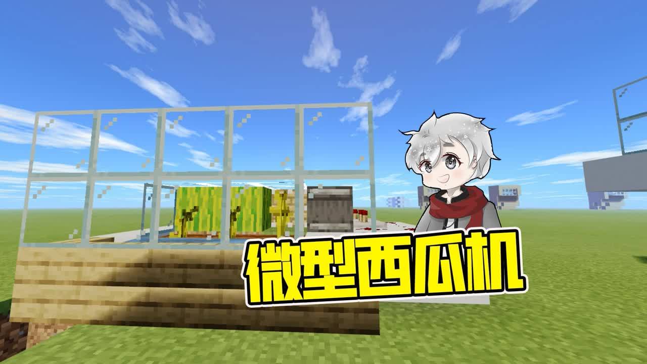 新手的微型自动西瓜机 我的世界