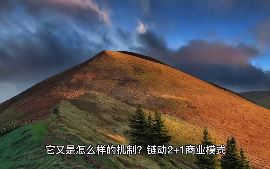 链动2+1商业模式是什么样的机制?