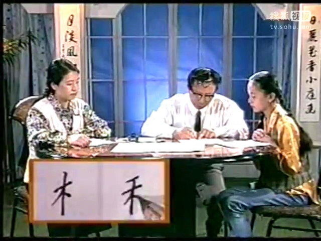 小学生写钢笔字要注意什么