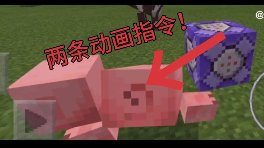 我的世界|两条有趣的动画指令!