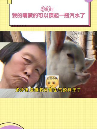 哇咔哇咔,好可爱呀~~~