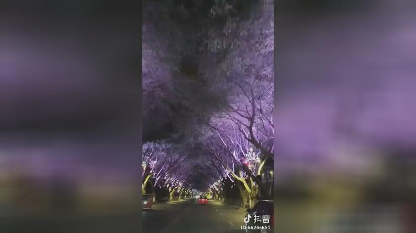 抖音旅游景点大全!妈妈再也不担心我没钱旅游啦!