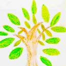 静若树jingruotree 
