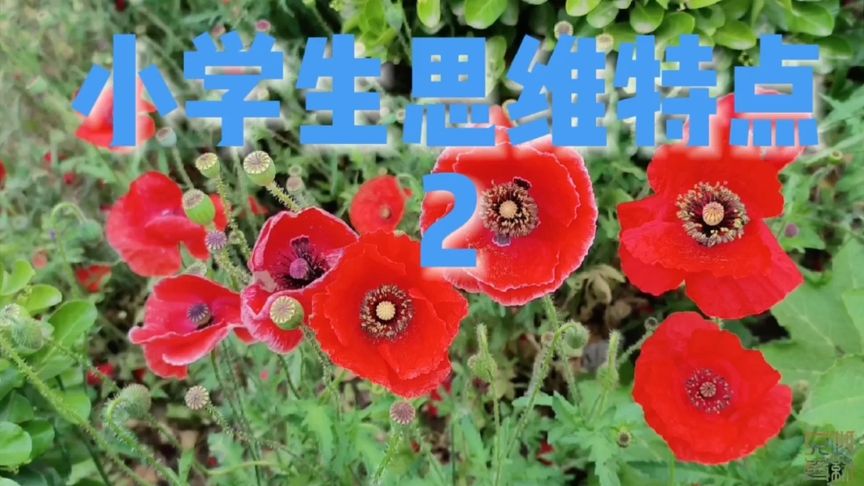 小学生思维,从具体形象思维逐步向抽象逻辑思维发展,家长急不得