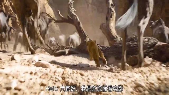 温情动物电影:小狮子为了给父亲报仇,长大后成为了草原之王