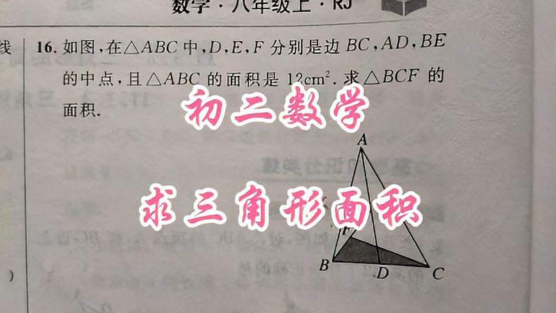子轩学数学,求三角形面积