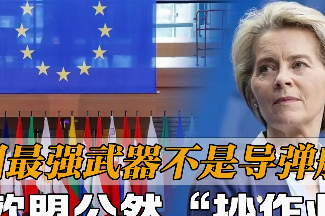 中国最强武器不是导弹航母,欧盟公然“抄作业”,美国想学学不来