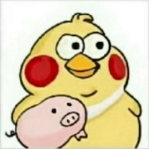打游戏的小鸟酱 