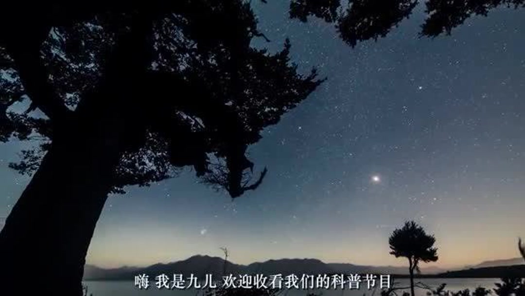 蚂蚁为何被称为生物界的爱美冠军?常用脚梳头,头可断发型不能乱