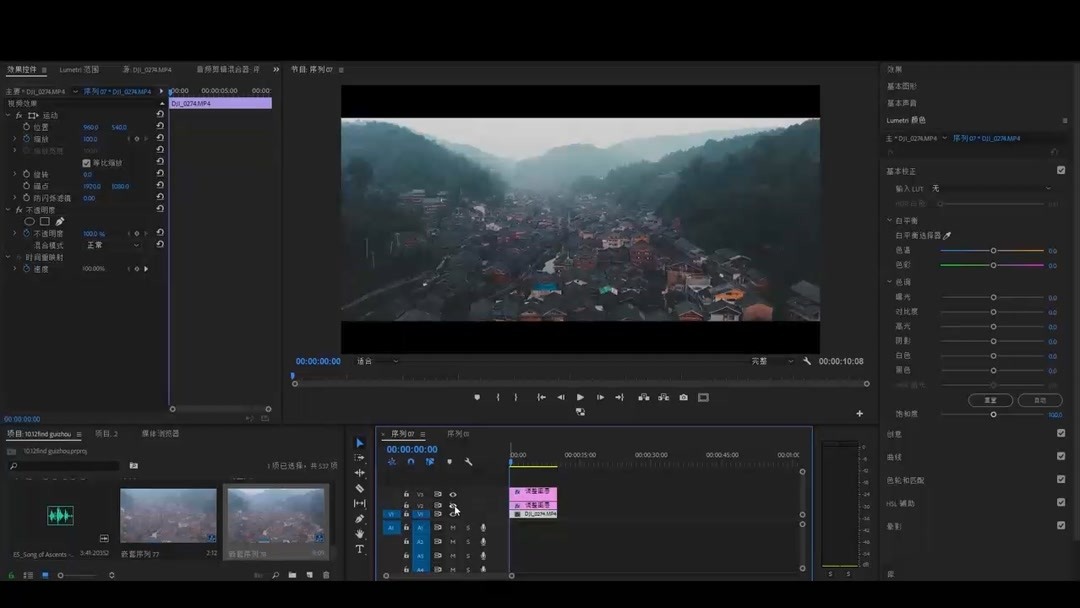 保姆级PR插件 美颜/降噪/特效/mg动画 简化你的剪辑流程