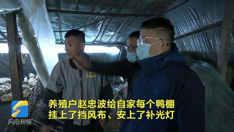 34秒丨寿光加强畜牧业防寒保冻 保障冬季畜牧生产安全
