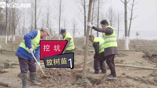 今天植树节,15秒小视频教你种树