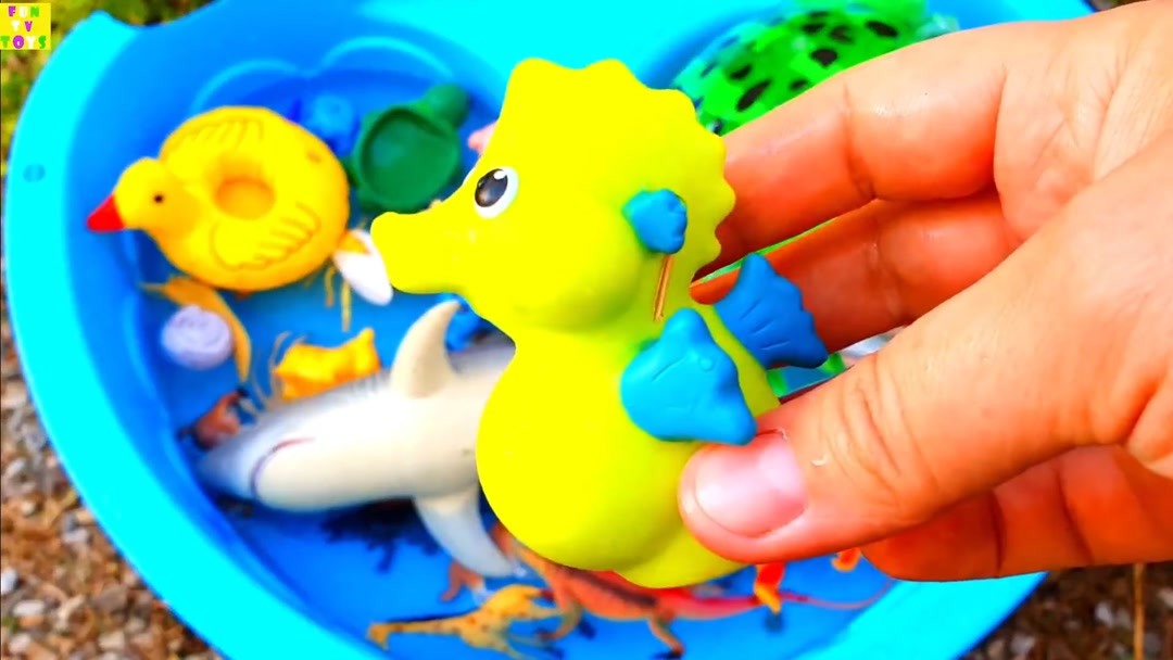 乐享动物乐园 第6季 第516集 带你认识有药用价值海洋动物的海马