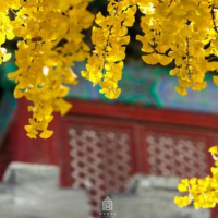 王苏清说历史 