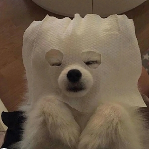 哈xyt 