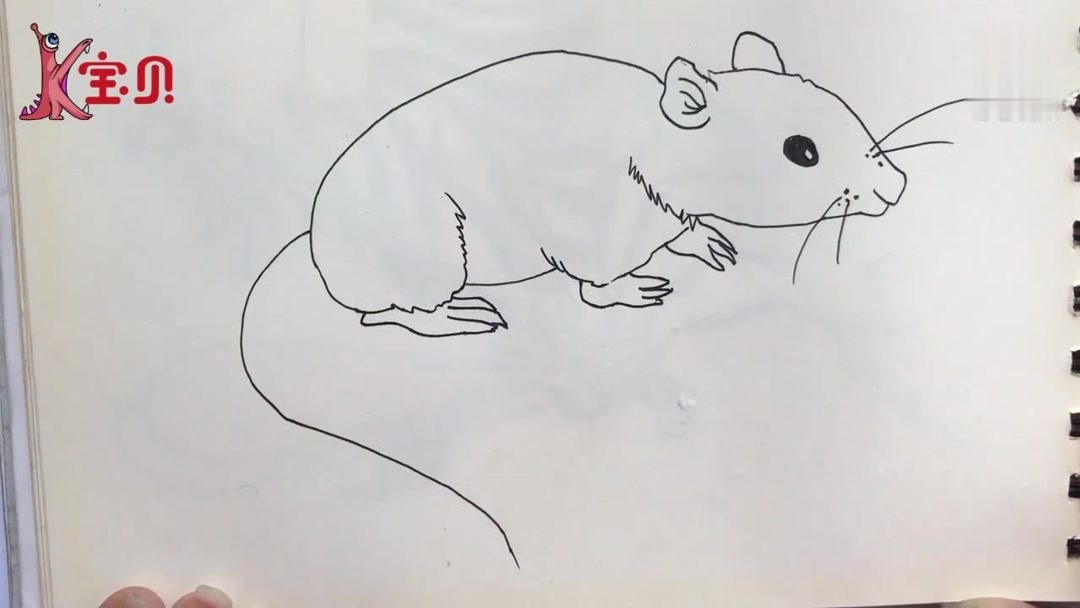 真实的老鼠画法,1分钟学画十二生肖之首鼠王,简笔画宝妈必备