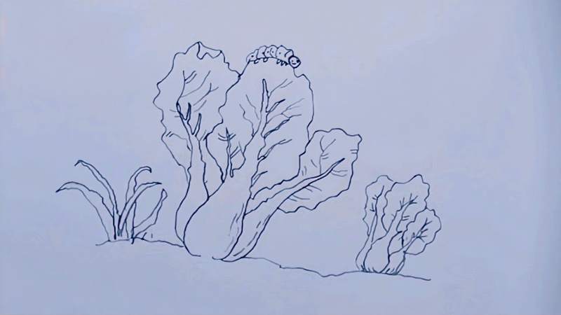 儿童卡通简笔绘画