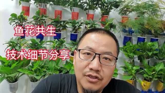 一个立方用一片,杀菌效果非常棒,鱼花共生新系统试水杀菌