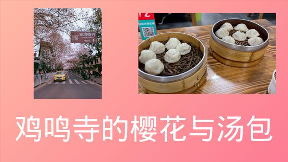鸡鸣寺的樱花与鸡鸣汤包|都是这个季节完美的搭配