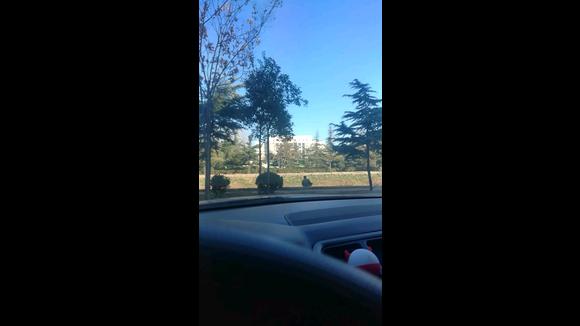 这样往河里倾倒生活污水,对环境有影响吗?