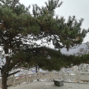 实在不懂再去问 