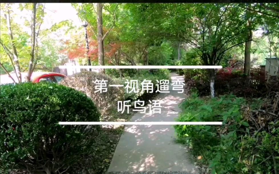 06#遛弯,听鸟语[GoPro7Black首测]