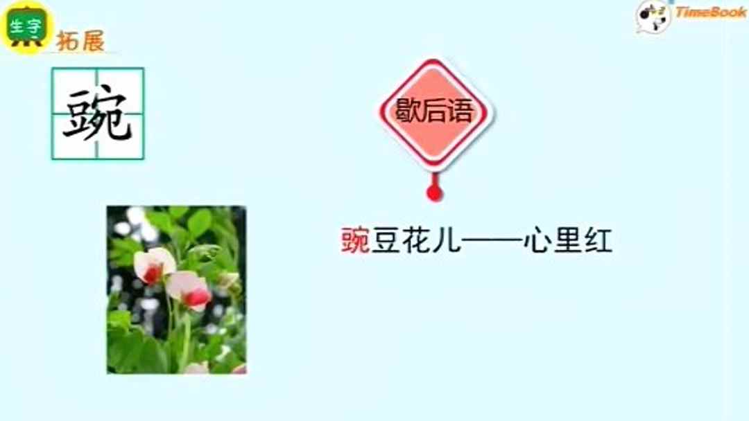 生字视频-人四上-5.一个豆荚里的五粒豆