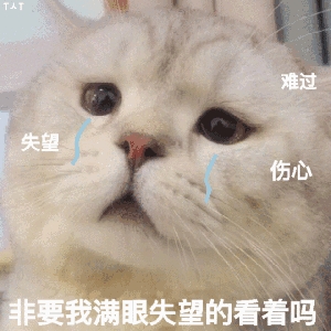 芃宸 