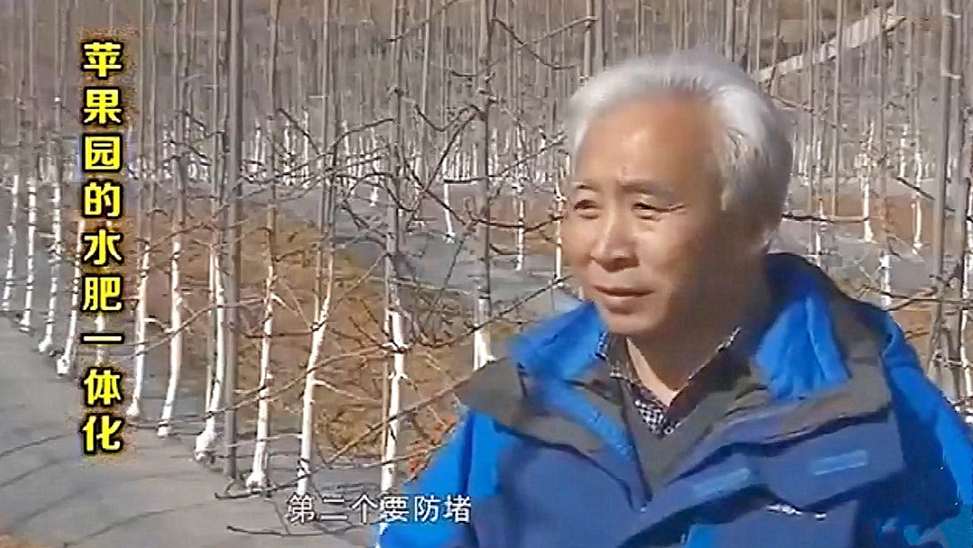 水肥一体化系统要精心维护,及时清理滴灌带,以免增加成本