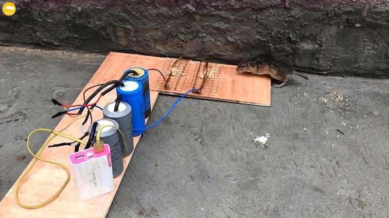 牛人制作了一个电子捕鼠器,看看怎么做到的!