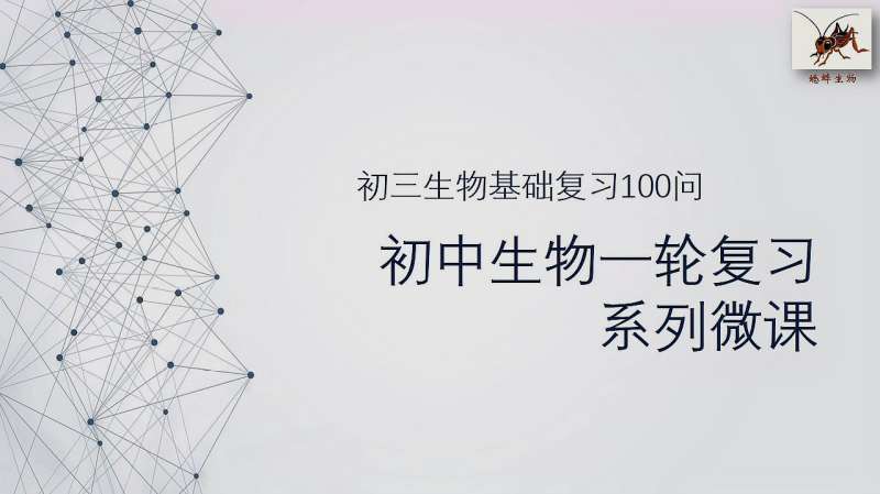 初中生物一轮复习微课第10话-遍布全身的运输网络-血管